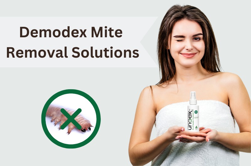 Demodex Hair Mites | Ungex Blog
