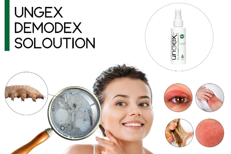 Ungex Global Blog | Ungex news and posts | Demodex mites